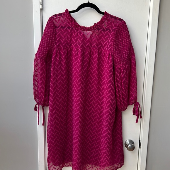 Susina | Dresses | Susina Large Raspberry Dress With Sheer Detail And ...